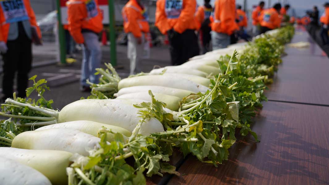 【13,000以上の野菜が並ぶ】最も長い野菜の列でギネス世界記録達成 | ギネス世界記録