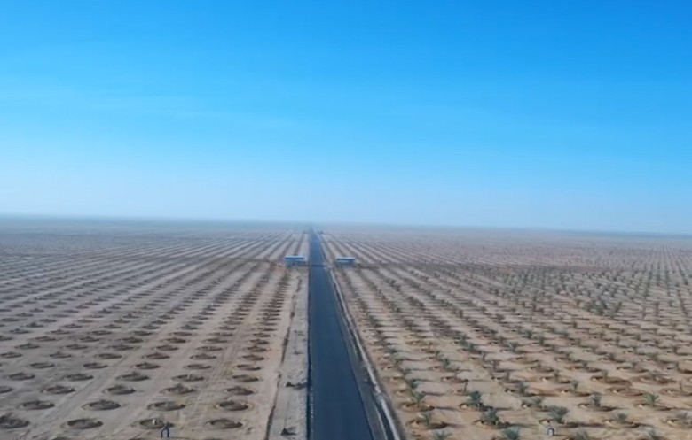 Largest date palm plantation | ギネス世界記録